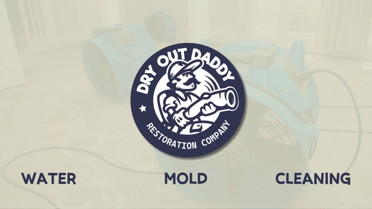 Dry Out Daddy Restoration | About Us