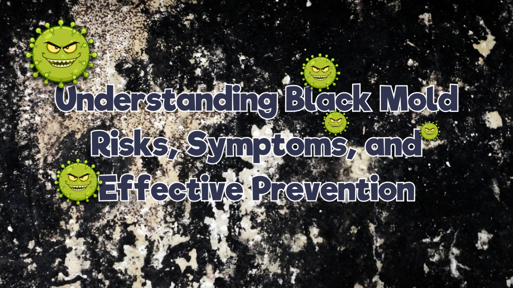 Understanding Black Mold: Risks, Symptoms, and Effective Prevention ...